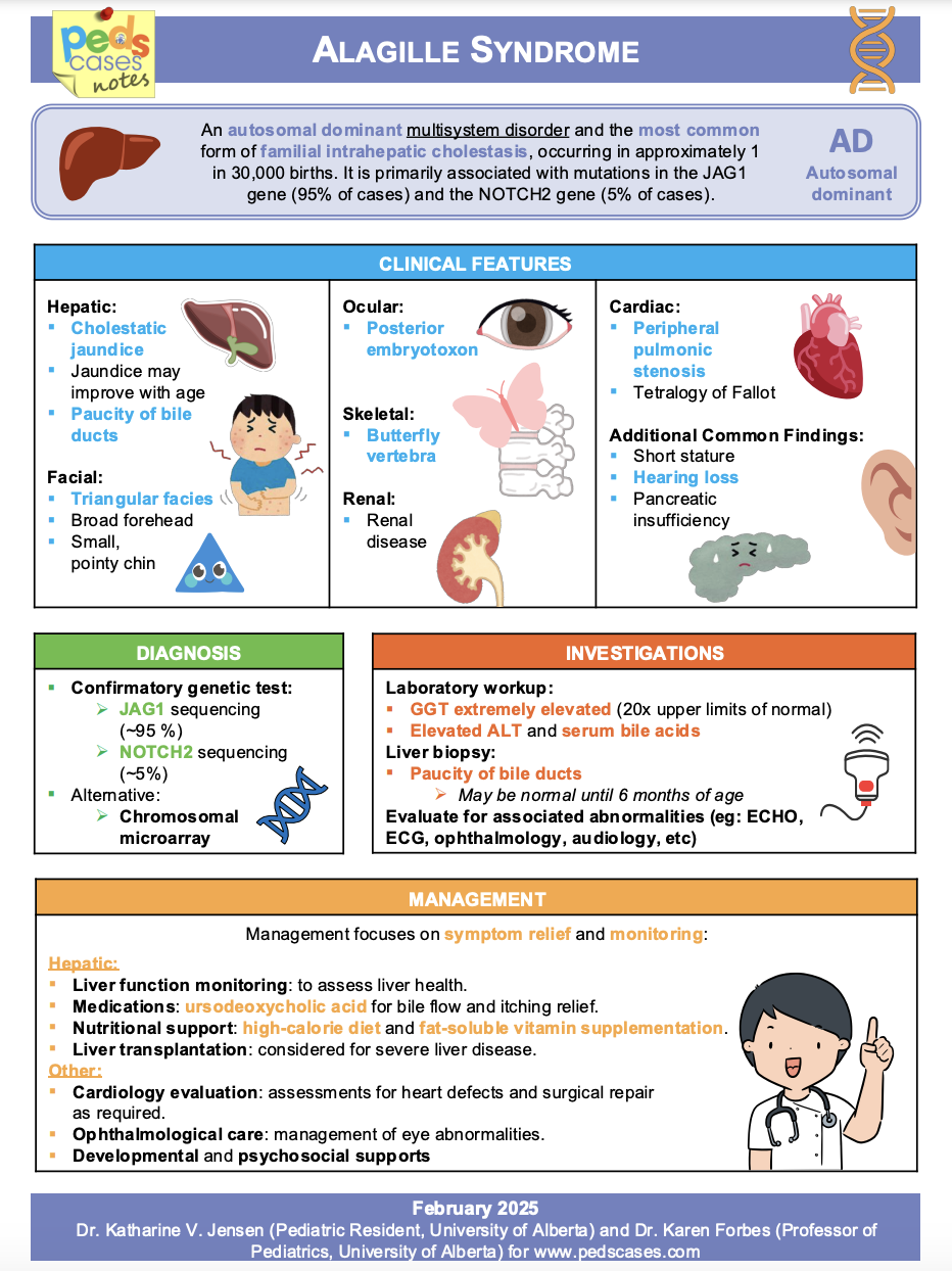 Alagille Syndrome | PedsCases